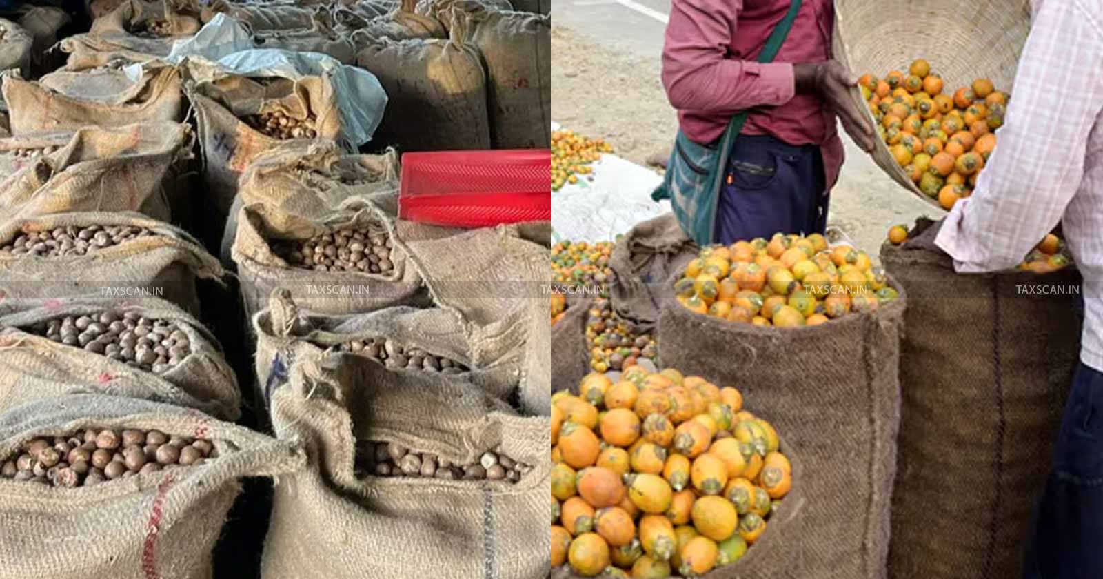 Betel Nut Smuggling: Calcutta HC Holds Seizure Memo not Invalid for ...